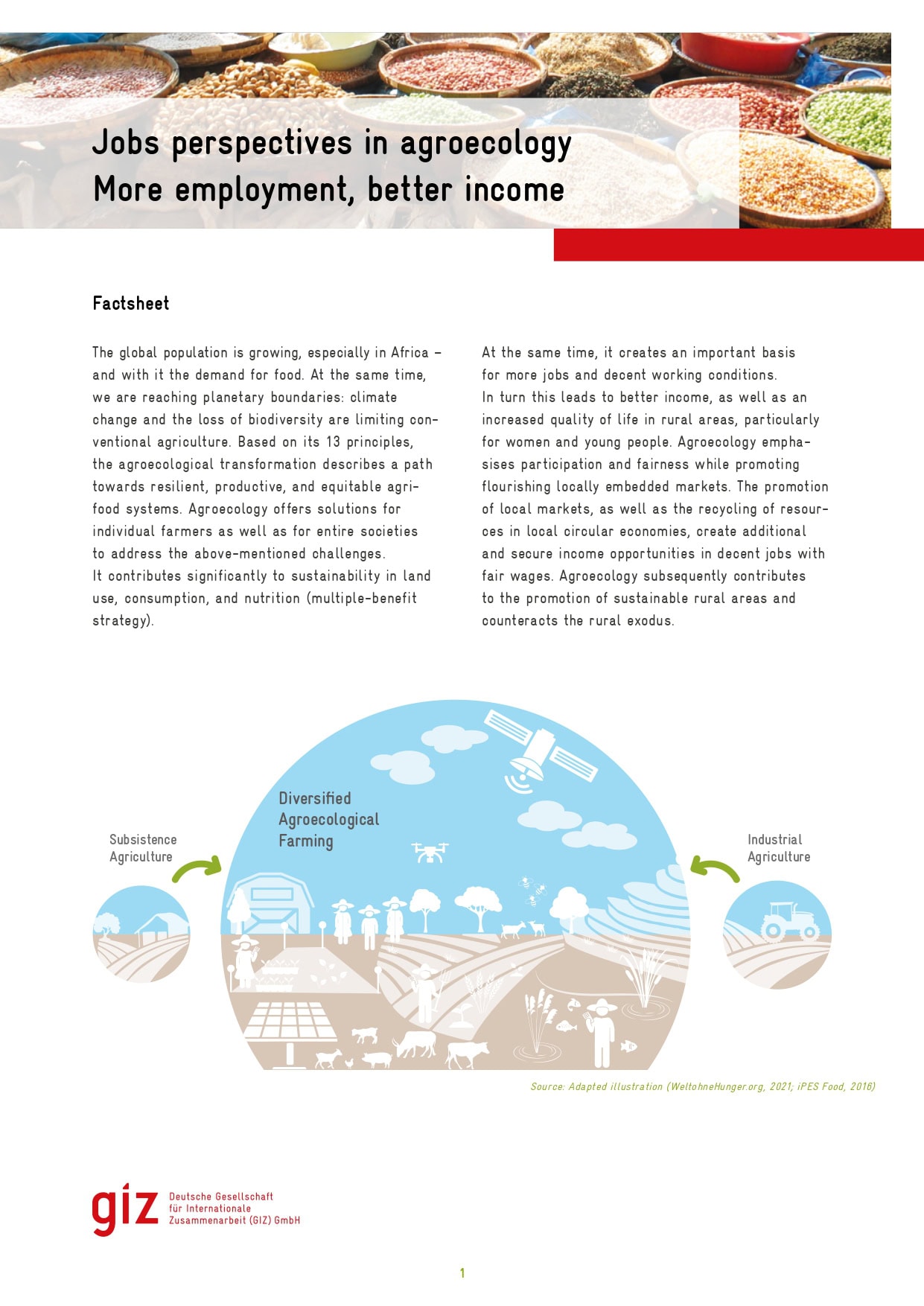 Jobs perspectives in agroecology More employment, better income: A ...