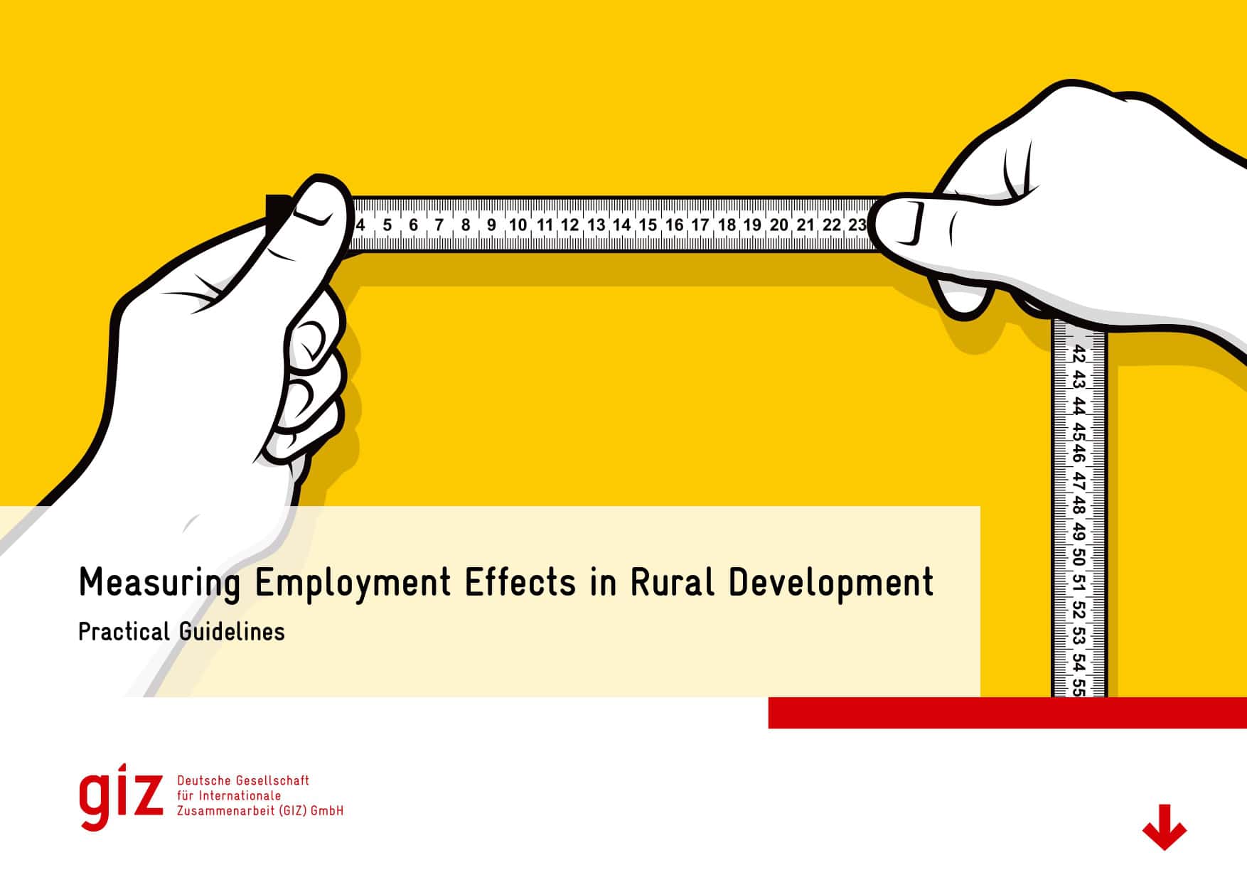 Measuring Employment Effects in Rural Development (Practical Guidelines ...