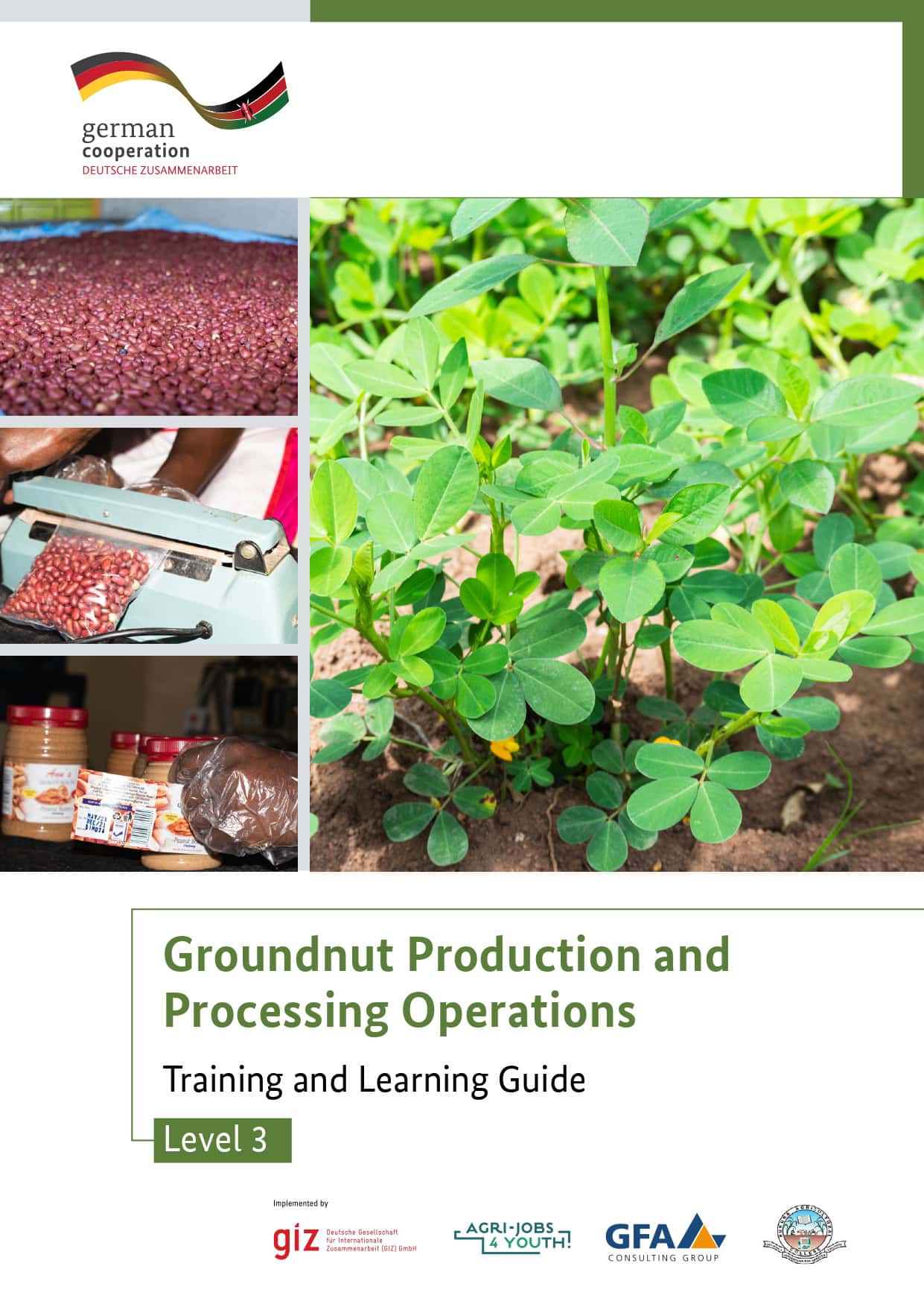 Groundnut - Training and Learning Guide - 360° AgriJobs